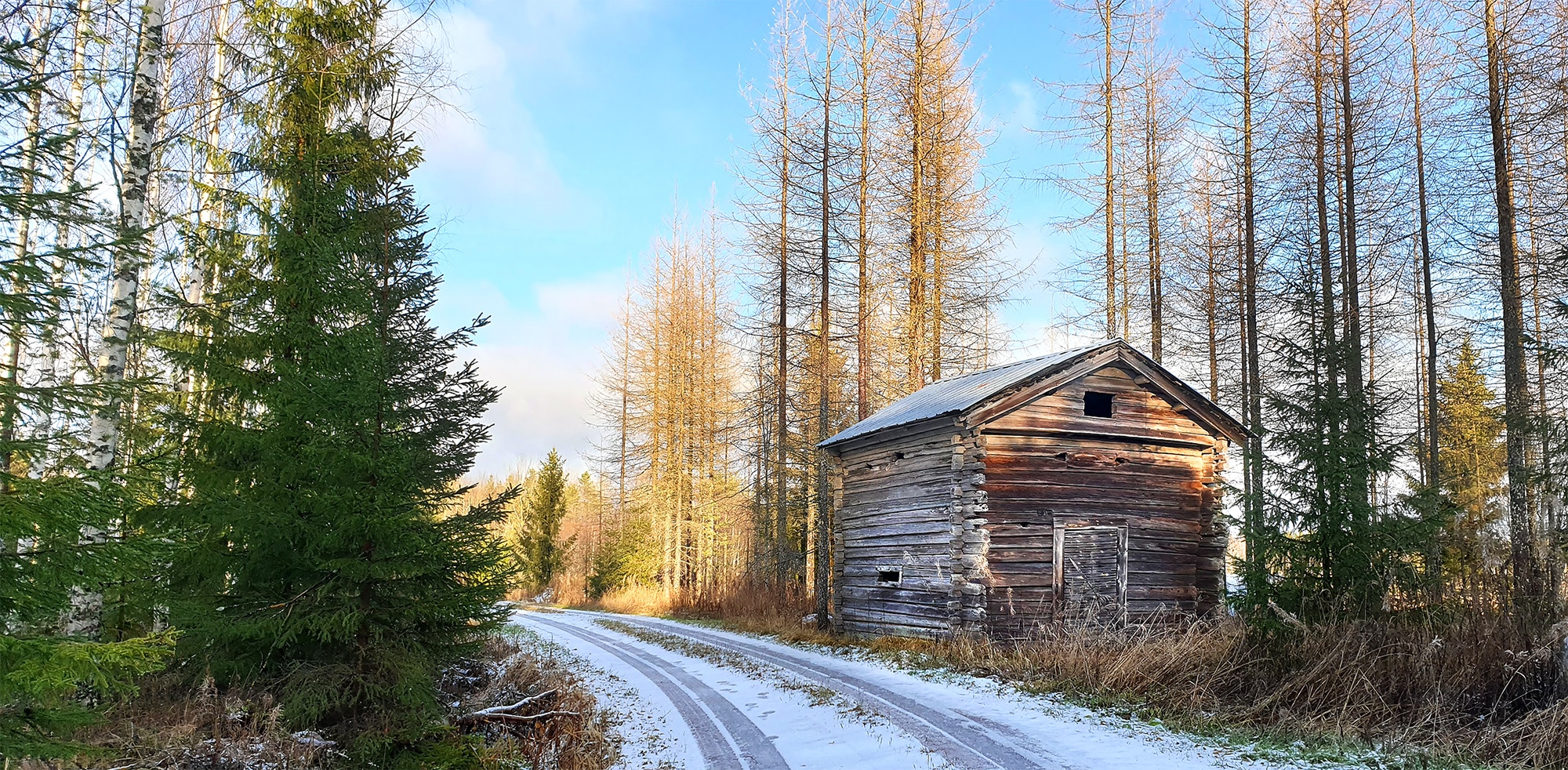 Klapit pihaan toimitettuna - kuivaa koivuklapia Lapualta